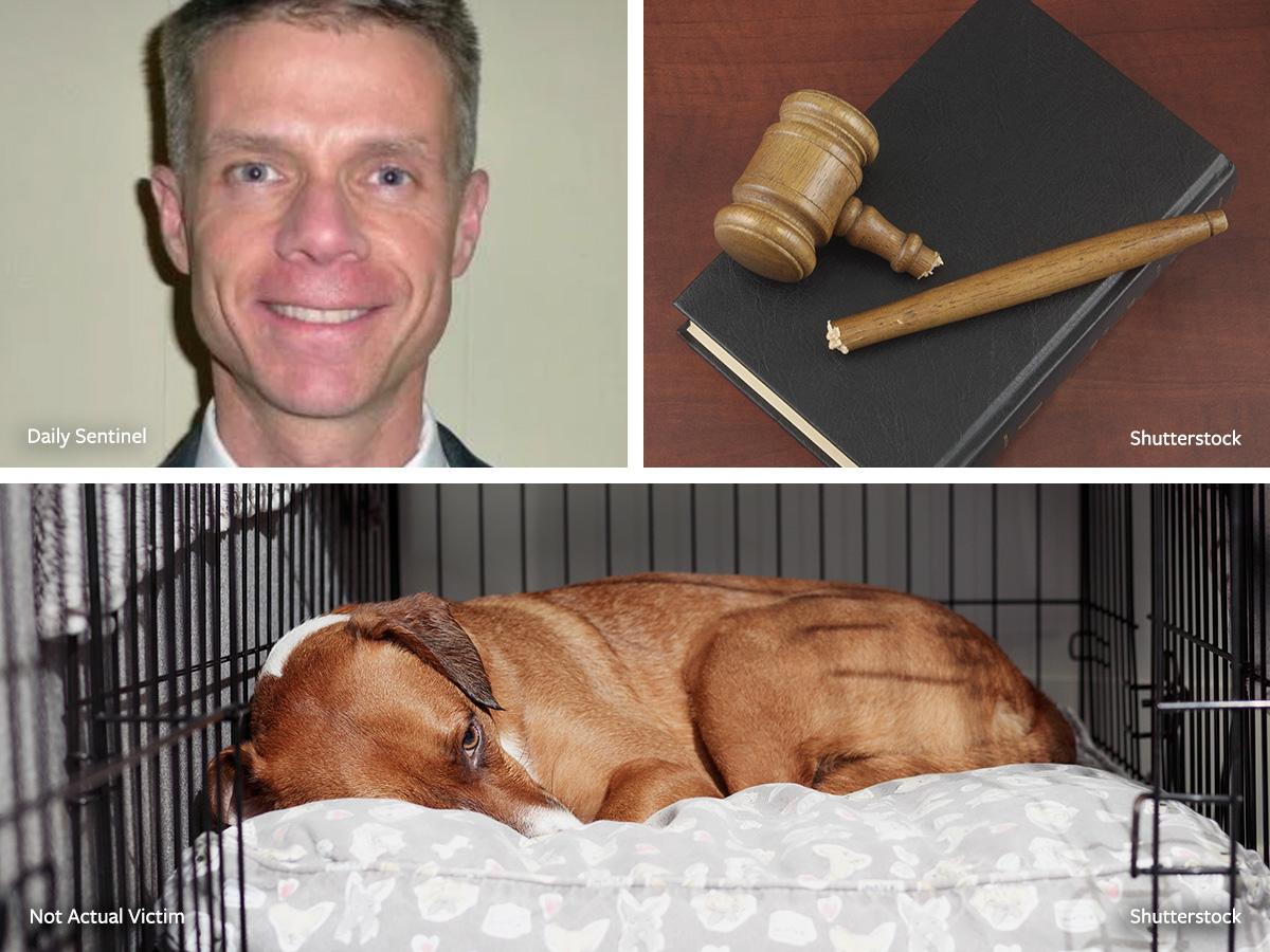 UPDATE: Justice Denied for Dog Sealed in Closet to Die by a New York Woman