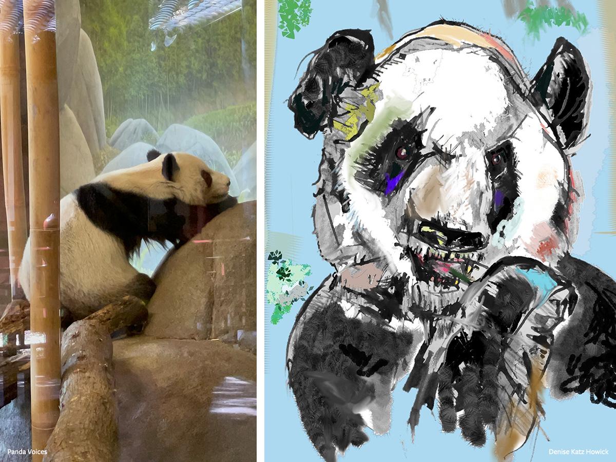 You’re Invited! Virtual Memorial for Zoo Victim LeLe the Giant Panda