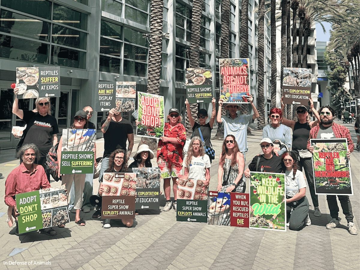 MEDIA RELEASE: Anaheim Residents Rally to Stop Reptile Show as West ...