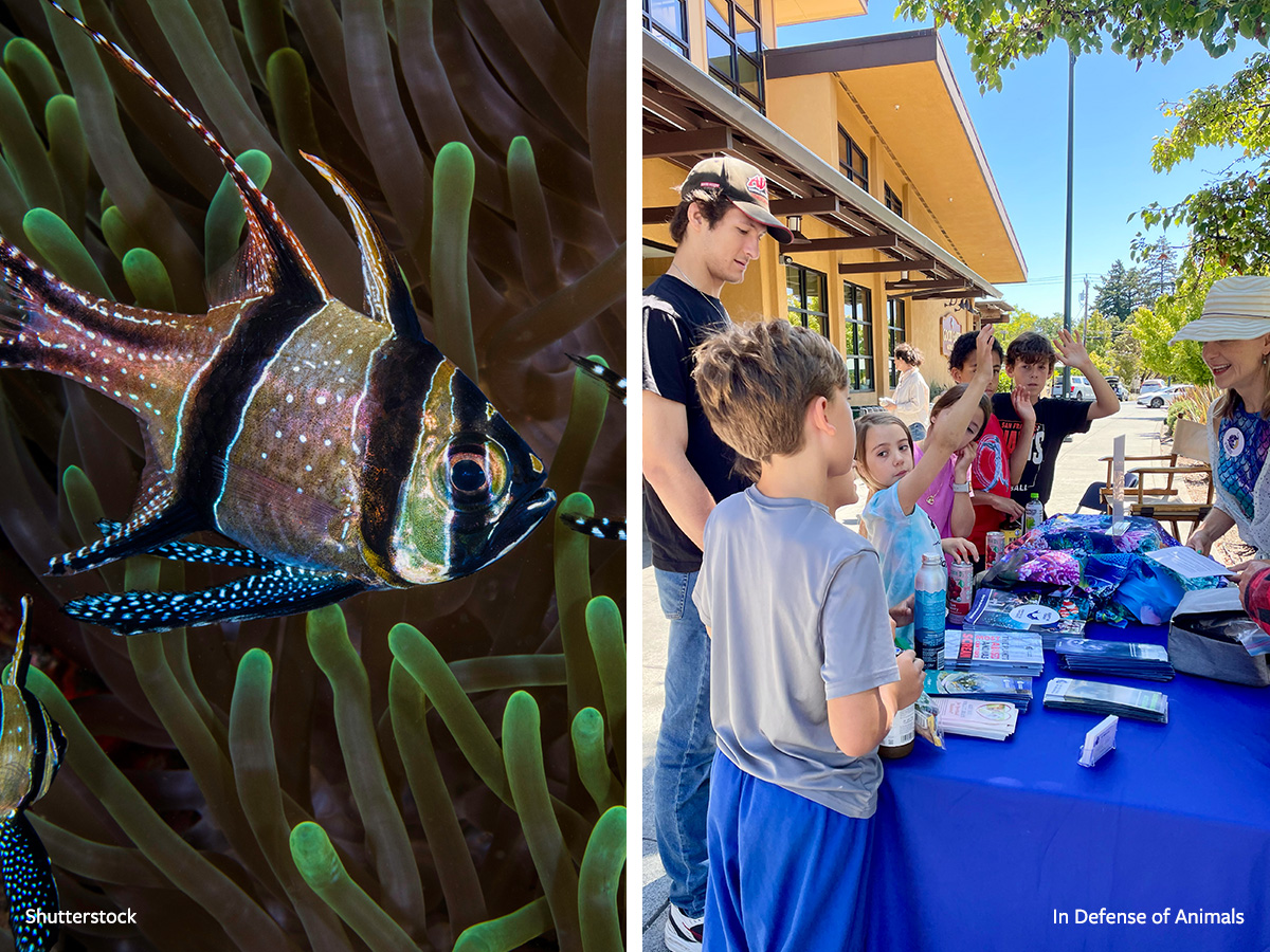 WATCH: Respect for Fish Day Urges An Ethical and Environmental Reckoning