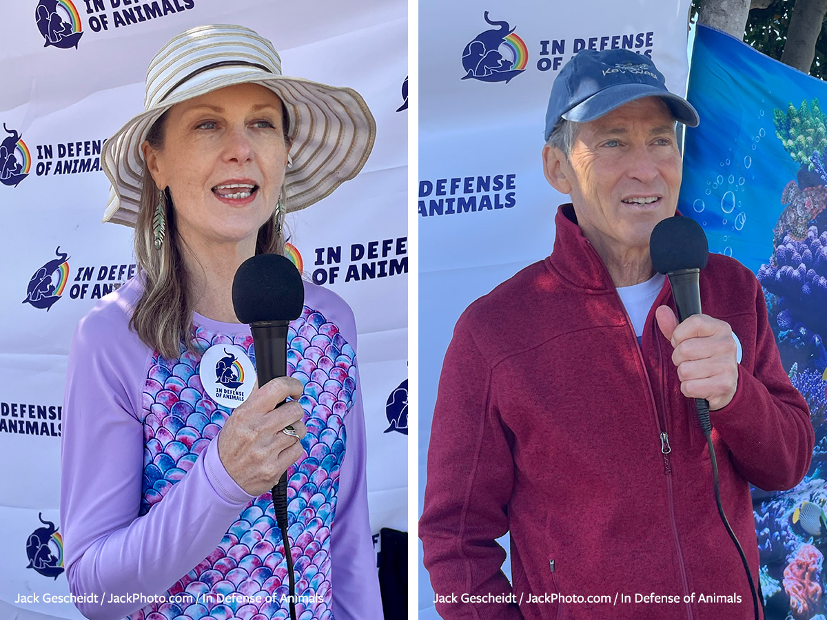 WATCH: Activists Speak Up for Fishes and All Marine Animals