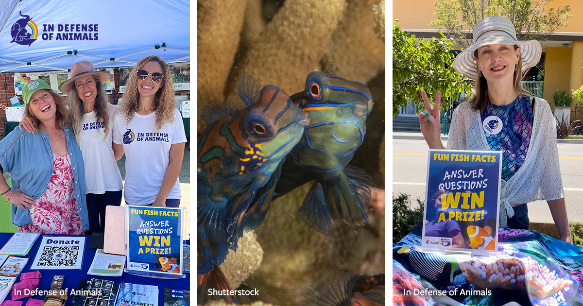 WATCH: Respect for Fish Day Urges An Ethical and Environmental Reckoning