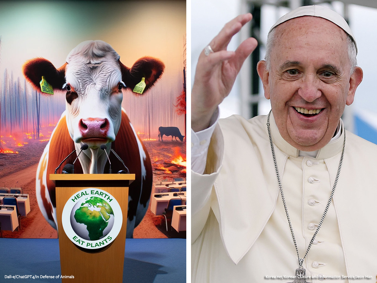 Pope’s Secret Message To Combat Animal Farm Emissions Wins Support from ...