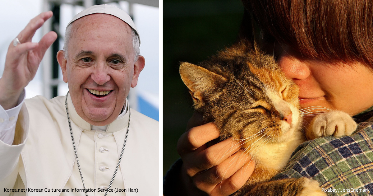 MEDIA RELEASE: Pope Urged to Reconsider Comments on Human Children vs ...