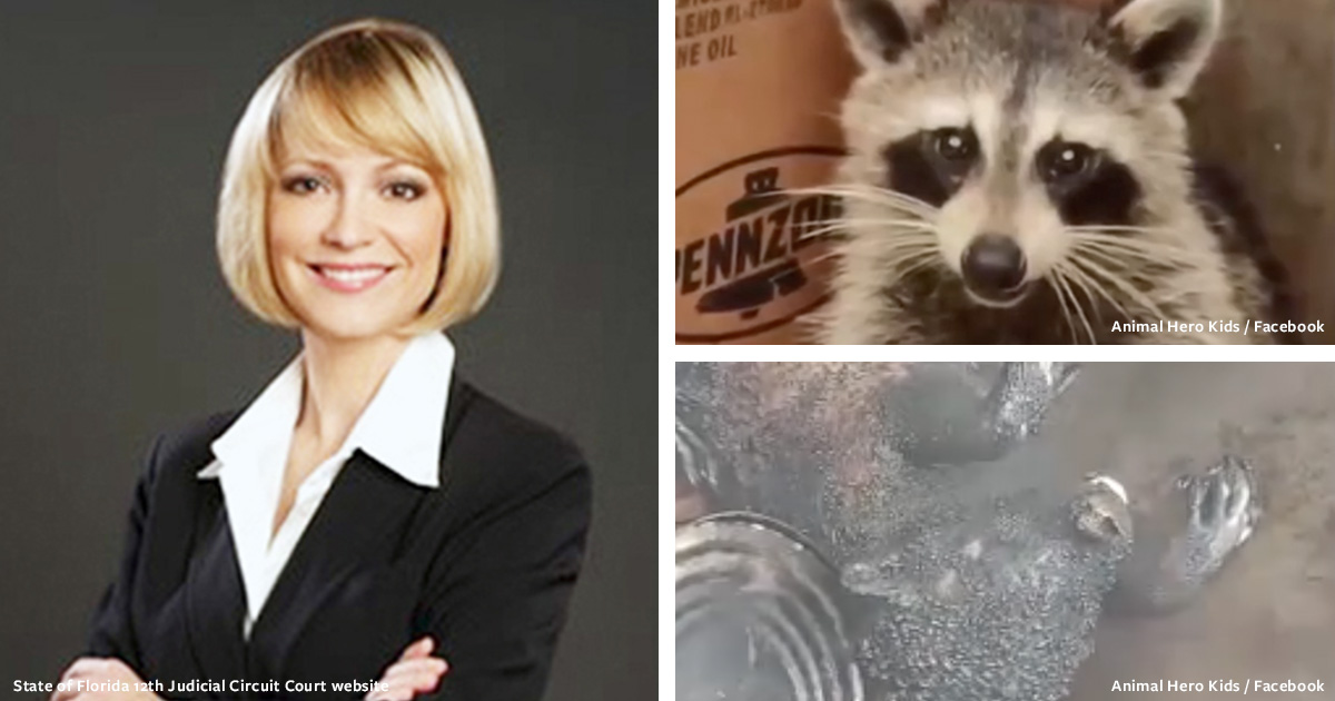 Woman Sets Raccoon on Fire, Gets No Jail; Admonish the Judge!