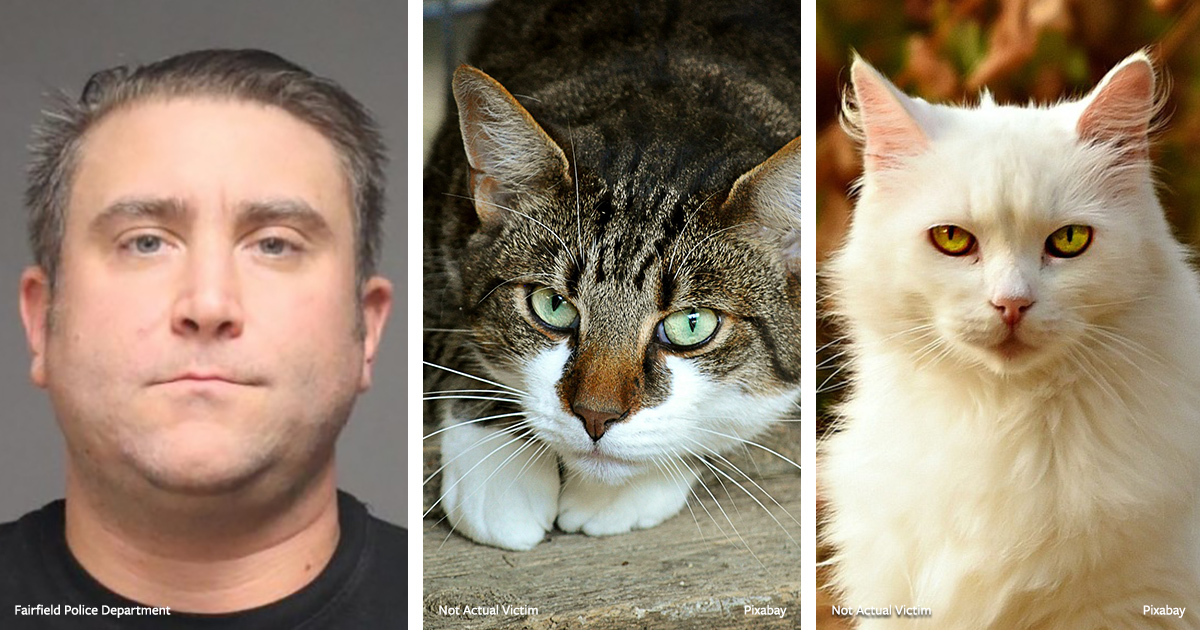 MEDIA RELEASE: Former Fairfield Official Charged With Animal Cruelty ...