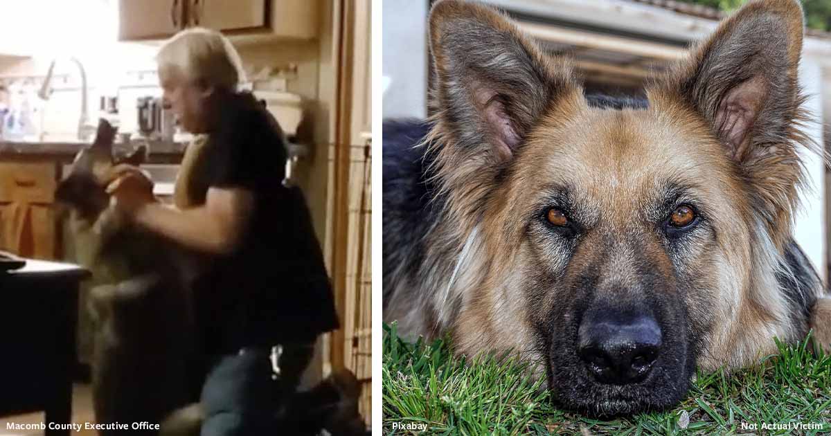 Revoke the License of Veterinarian Who Choked and Beat His Dog