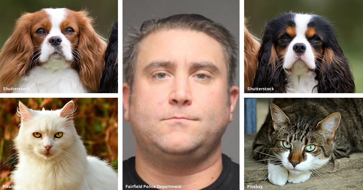 Victory! Former Connecticut Official Charged Again With Animal Cruelty ...