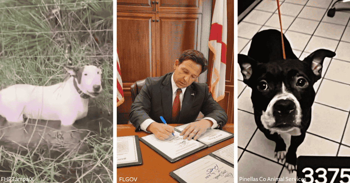MEDIA RELEASE: Florida Passes Dexter’s Law & Trooper’s Law