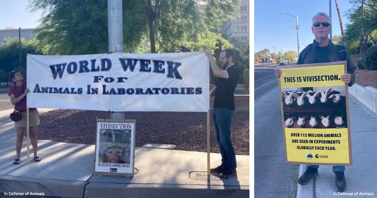 MEDIA RELEASE: In Defense of Animals & SPEAK Protest Cruel Experiments ...