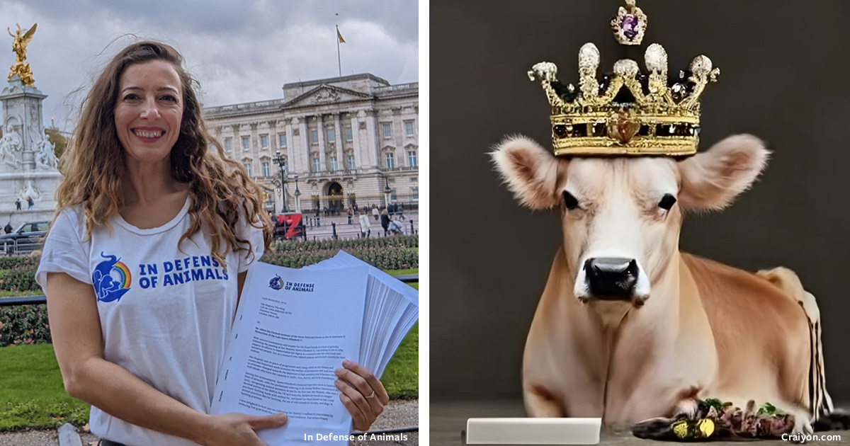 WATCH: Message of Mercy To King Charles Delivered